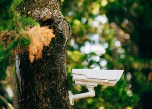 Best 9 Ideas To Hide Outdoor Security Cameras